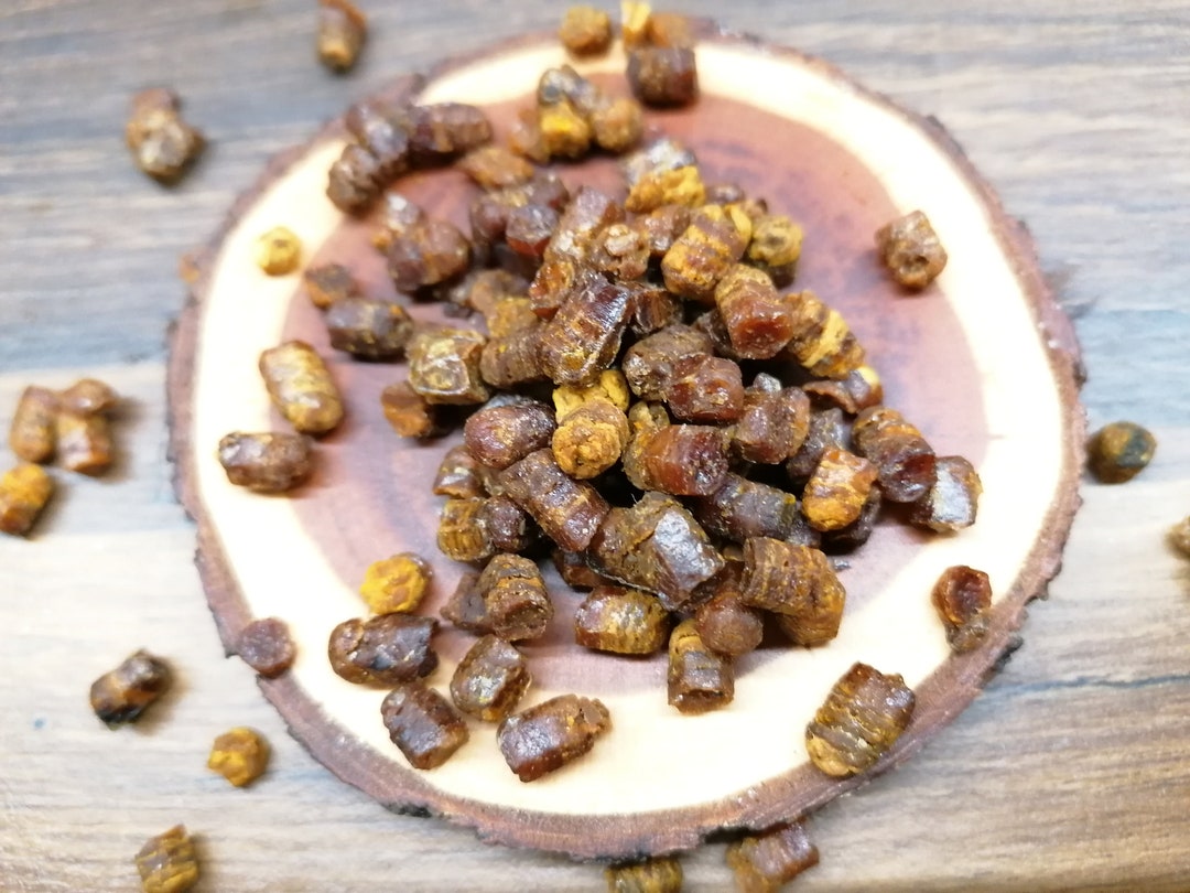 Bee Bread, Ambrosia, Perga - Etsy