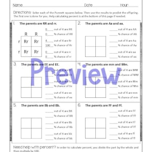 Introduction to Punnett Squares: Middle School Genetics Handouts and ...