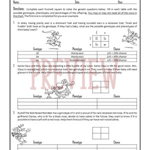 Christmas Winter Genetics Worksheet: Differentiated Punnett Square ...