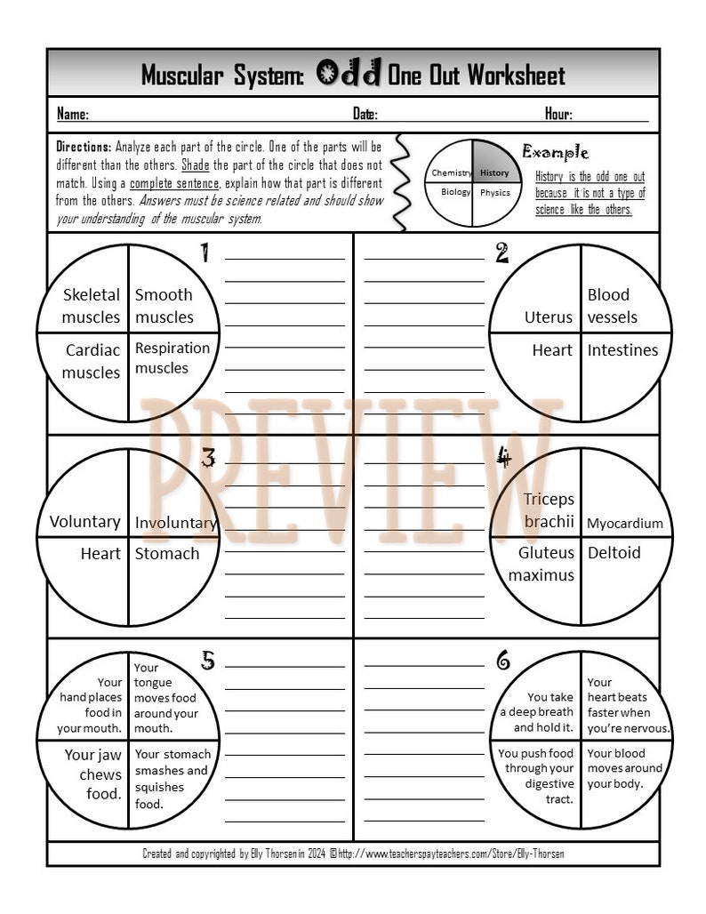 Muscular System Worksheet: Odd One Out Critical Thinking for Human Body ...