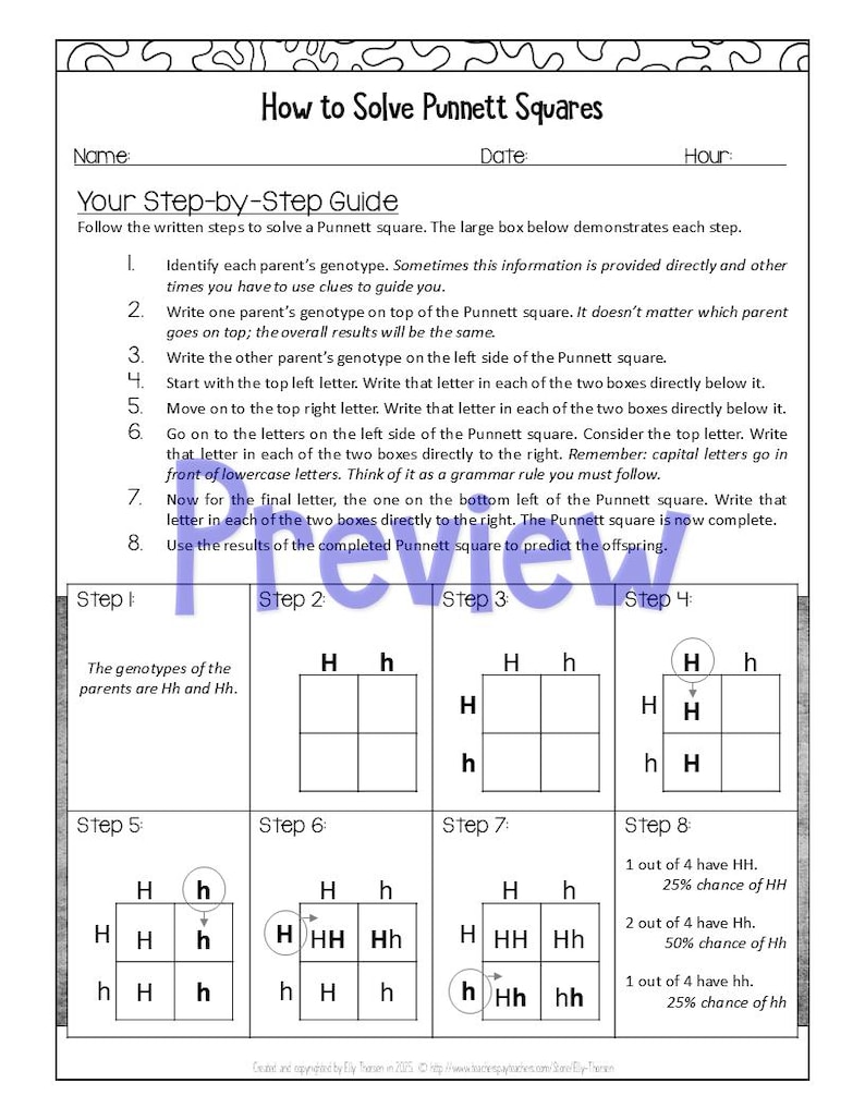 Introduction to Punnett Squares: Middle School Genetics Handouts and ...