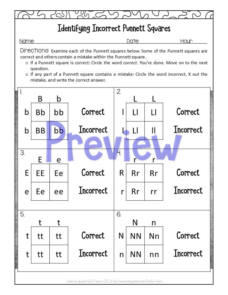 Introduction to Punnett Squares: Middle School Genetics Handouts and ...
