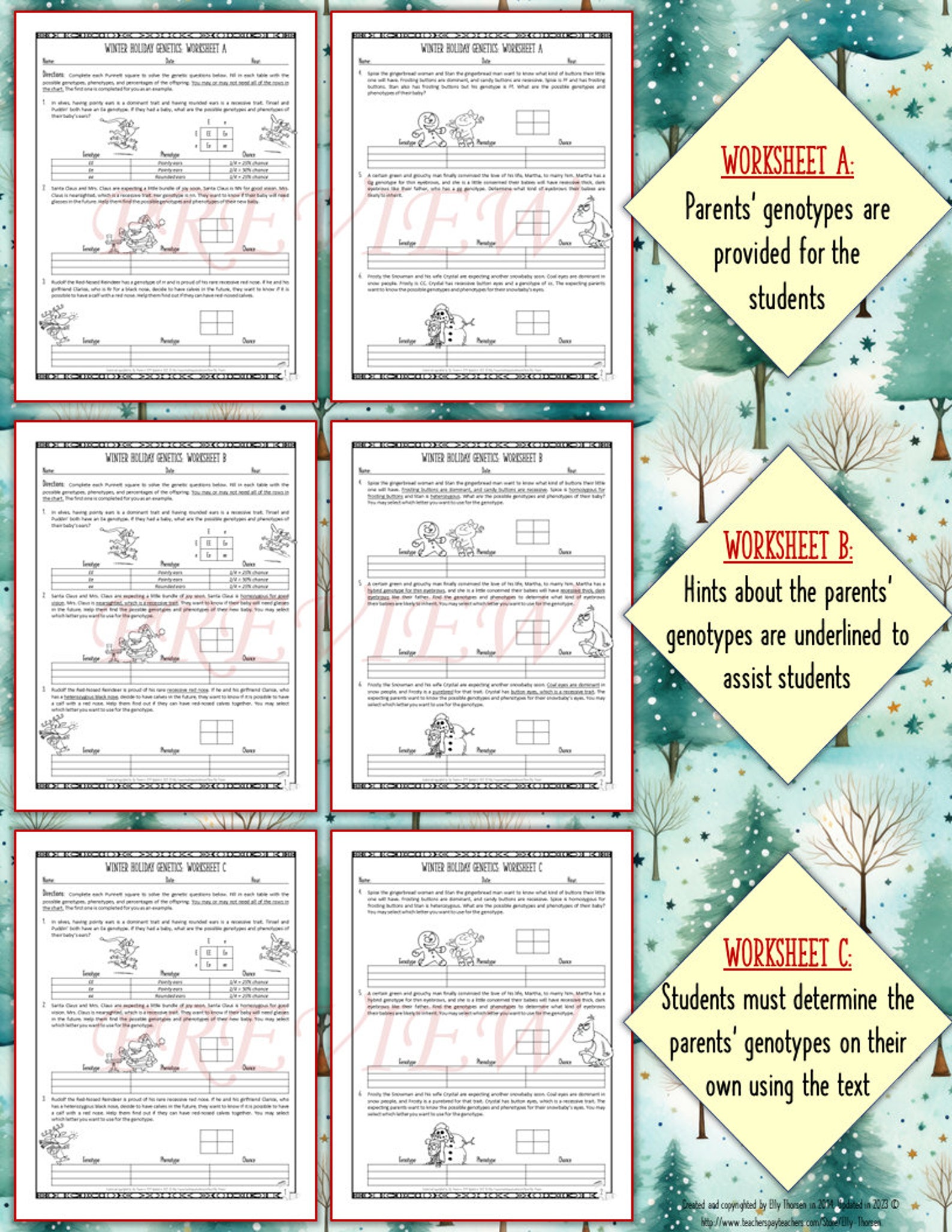 Christmas Winter Genetics Worksheet: Differentiated Punnett Square ...