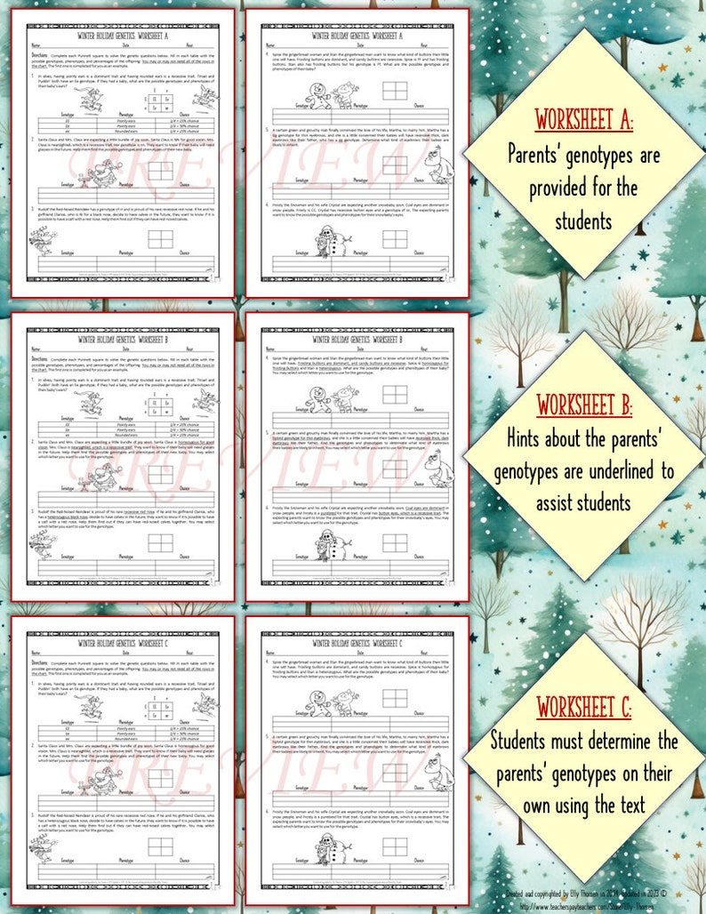 Christmas Winter Genetics Worksheet: Differentiated Punnett Square ...