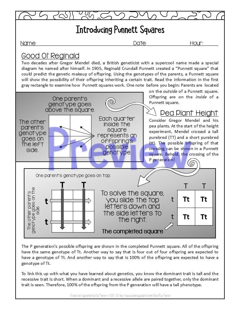 Introduction to Punnett Squares: Middle School Genetics Handouts and ...