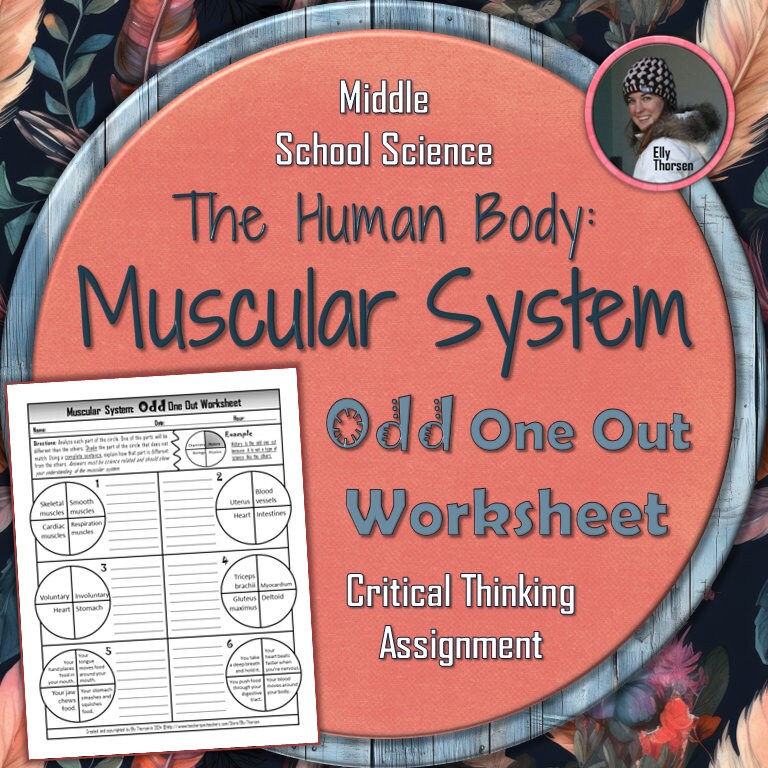Muscular System Worksheet: Odd One Out Critical Thinking for Human Body ...