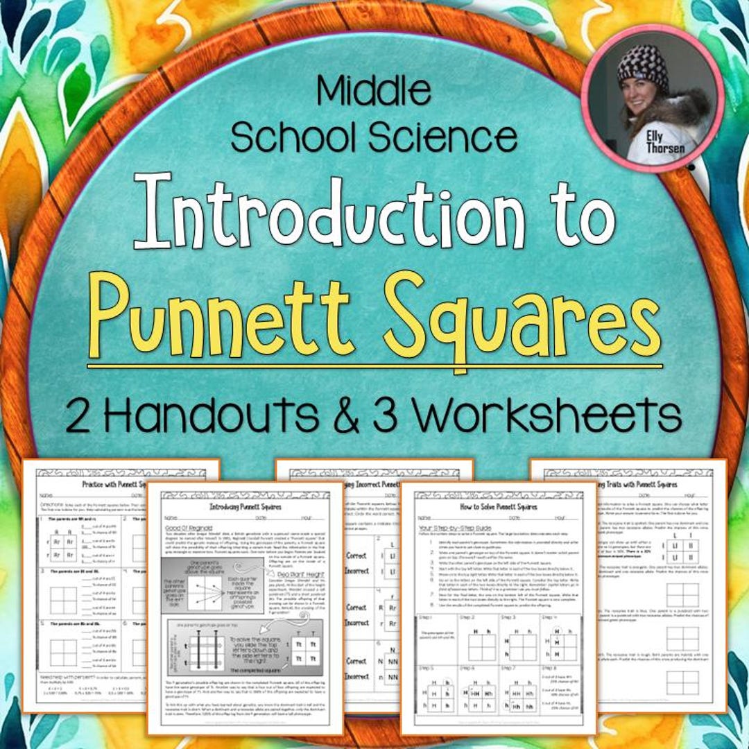 Introduction to Punnett Squares: Middle School Genetics Handouts and ...