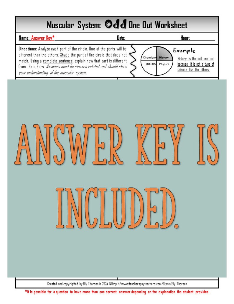 Muscular System Worksheet: Odd One Out Critical Thinking for Human Body ...