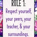 Classroom Management Class Rules & Consequences Posters: Floral Theme ...