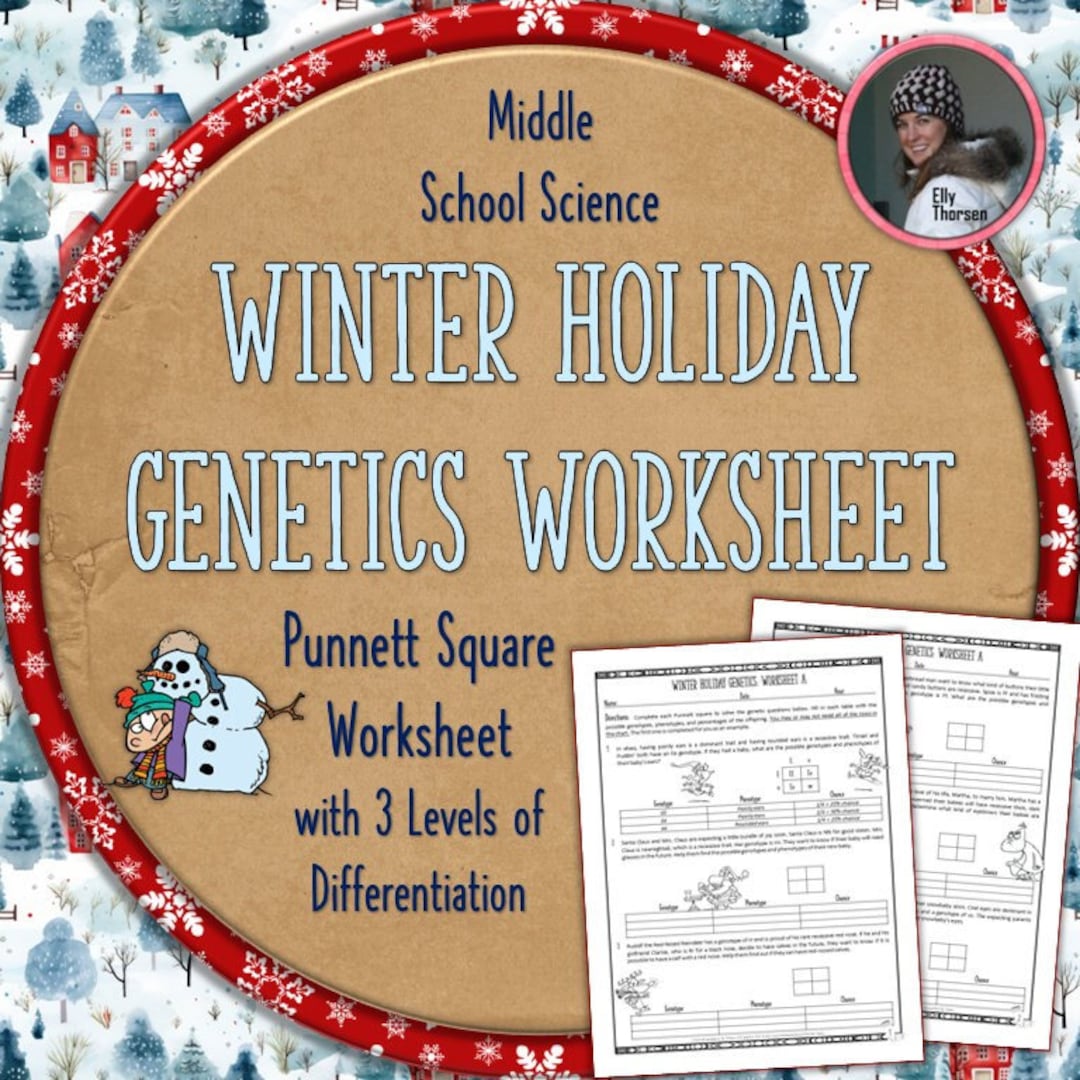 Christmas Winter Genetics Worksheet: Differentiated Punnett Square ...