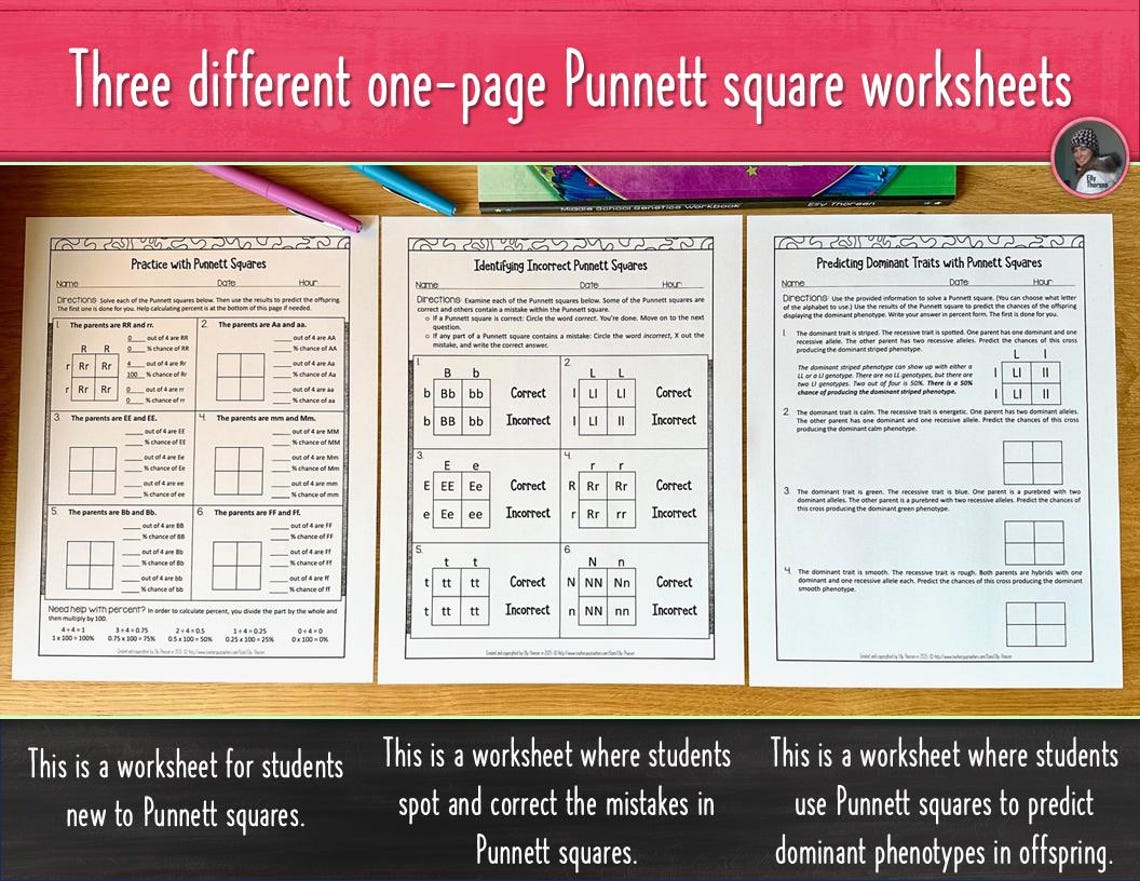 Introduction to Punnett Squares: Middle School Genetics Handouts and ...