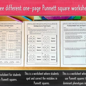 Introduction to Punnett Squares: Middle School Genetics Handouts and ...