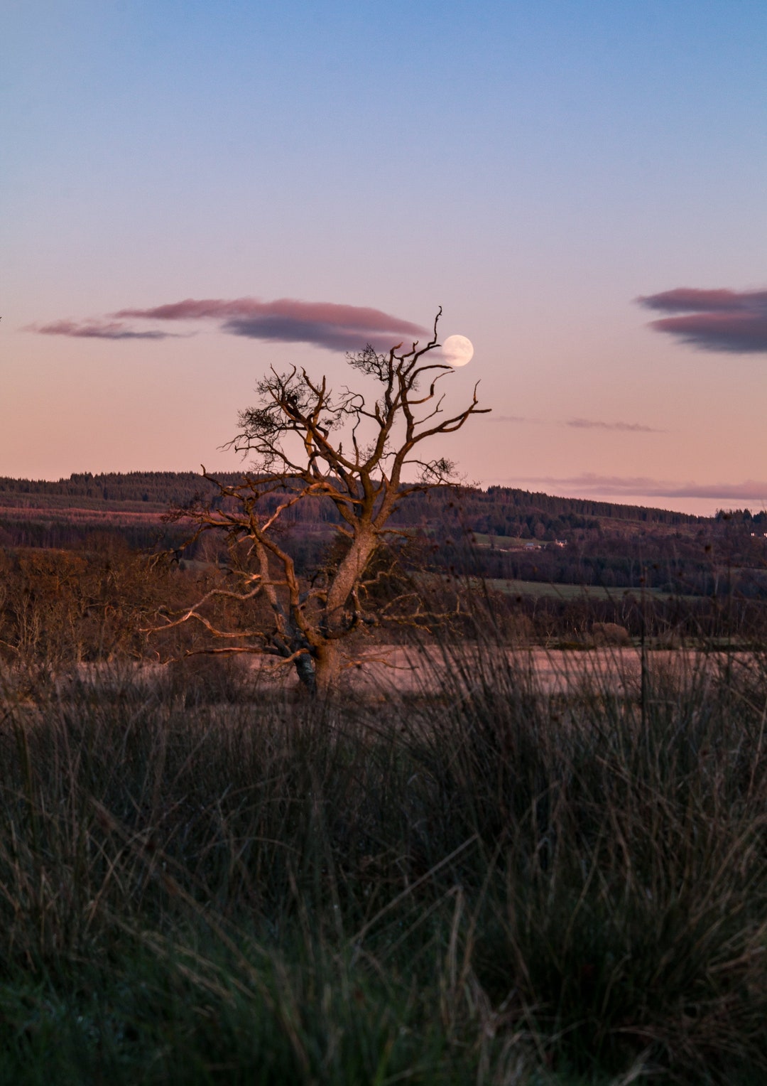 Full Moon Sunset Gift Poster for Men Women Bedroom Dining Room, Living ...