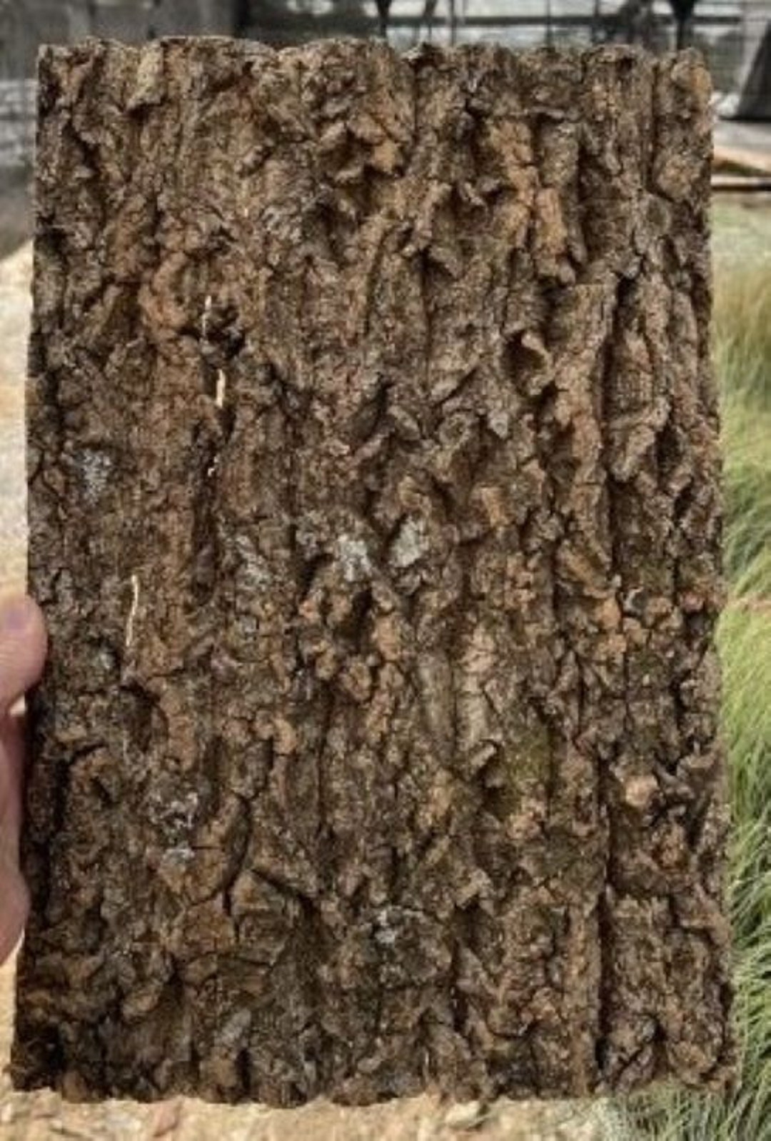 Natural Virgin Cork Bark Tiles | Cork Bark Flats for Terrariums ...