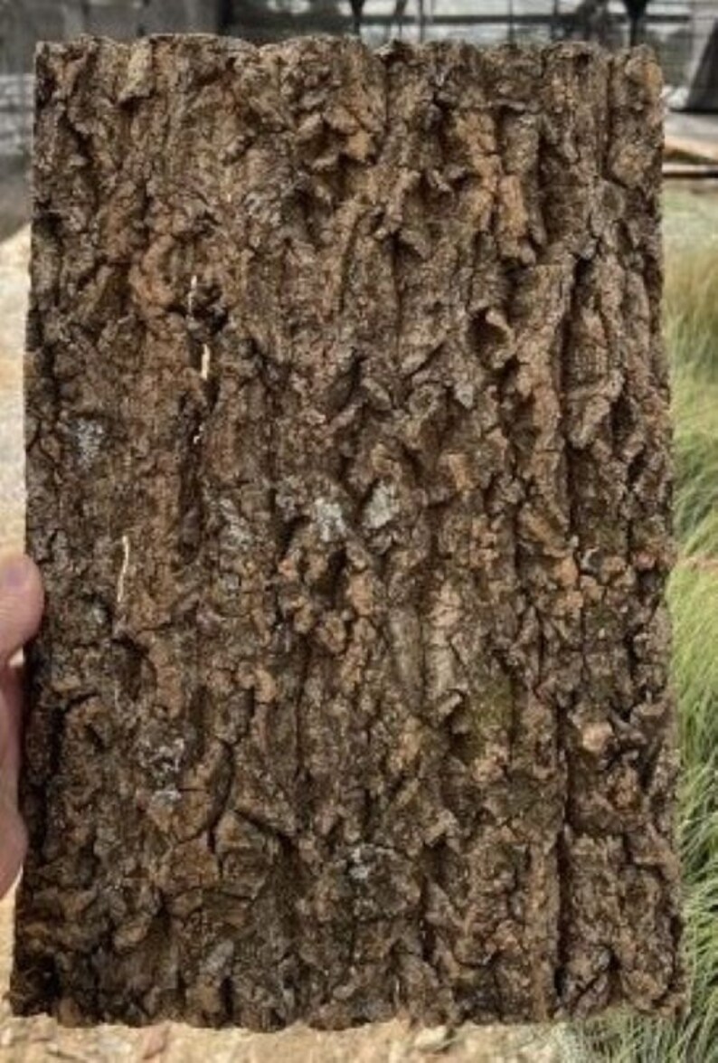 Natural Virgin Cork Bark Tiles | Cork Bark Flats for Terrariums ...