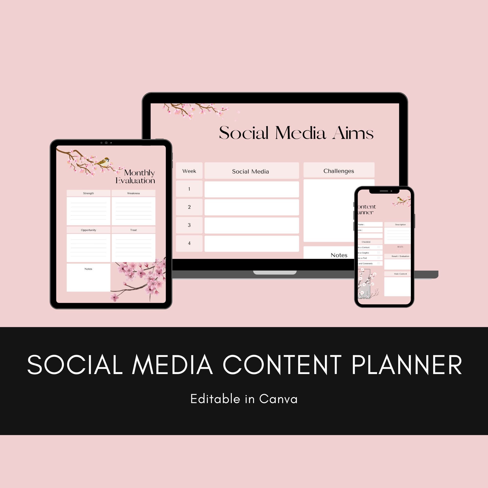 Social Media Planner, PLR Social Media Content Planner, Content Planner ...