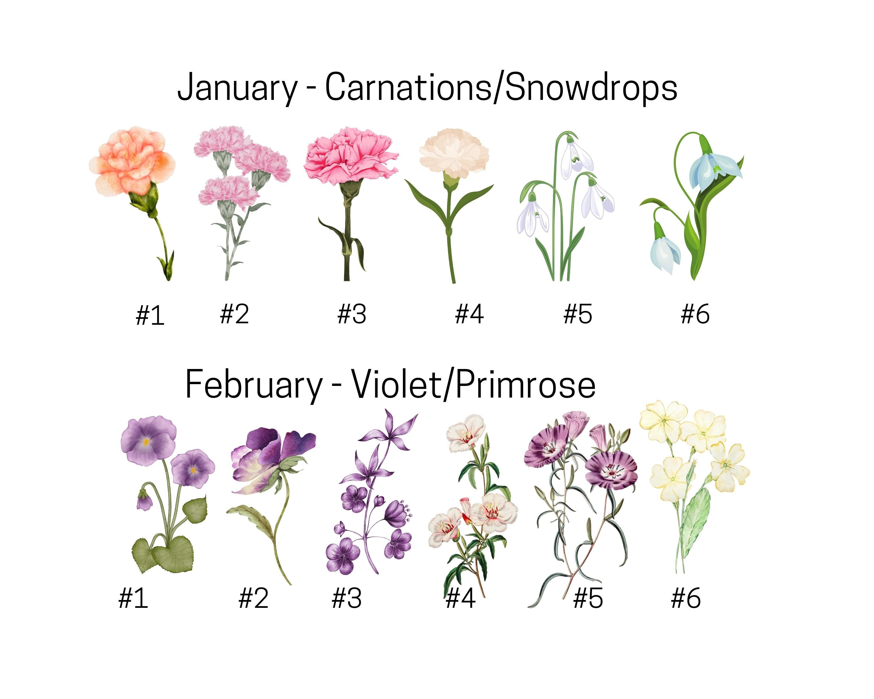 Birth Flower Personalized Gift, Birth Flower by Month, Birth Flower ...
