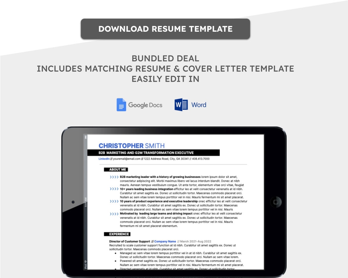 Professional Bio Template: One-page Career Summary (powerpoint & Google ...