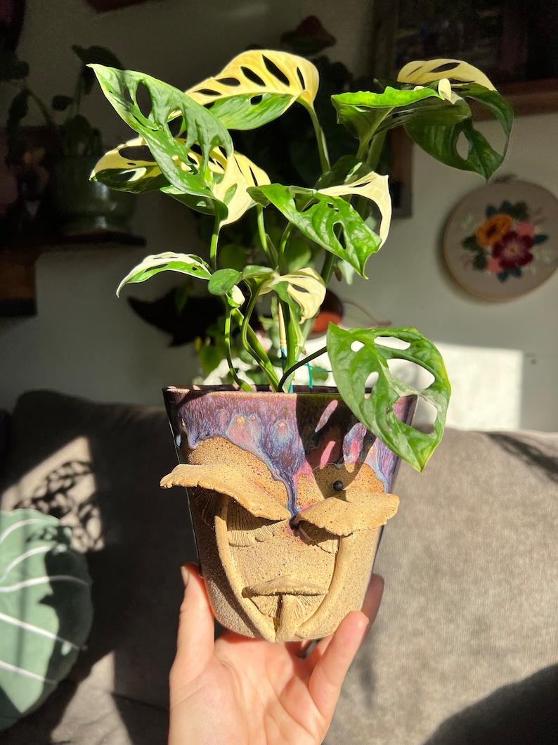 Psychedelic 4” Cache Pot - Etsy