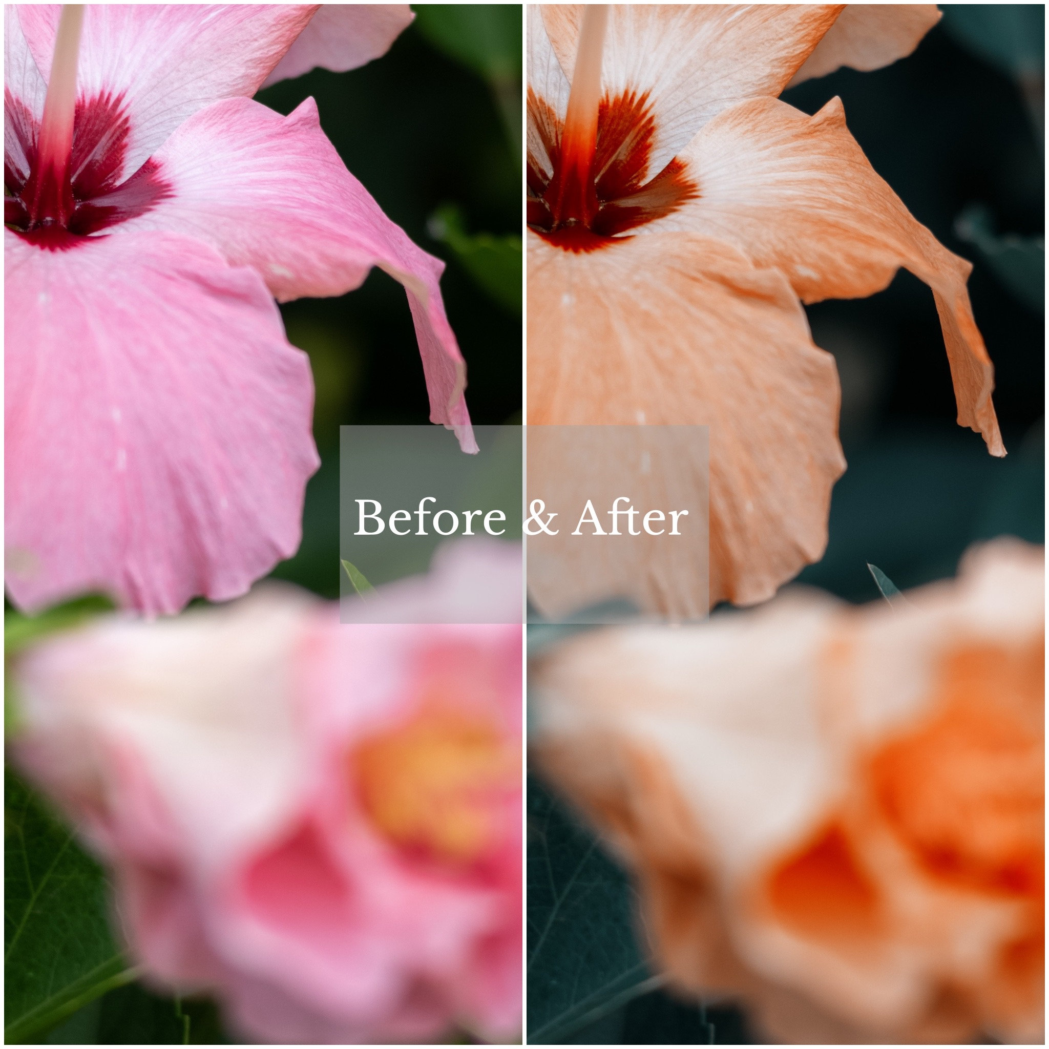 TECHNICOLOR VINTAGE Film Pro - Lightroom Photography Editing Tools ...