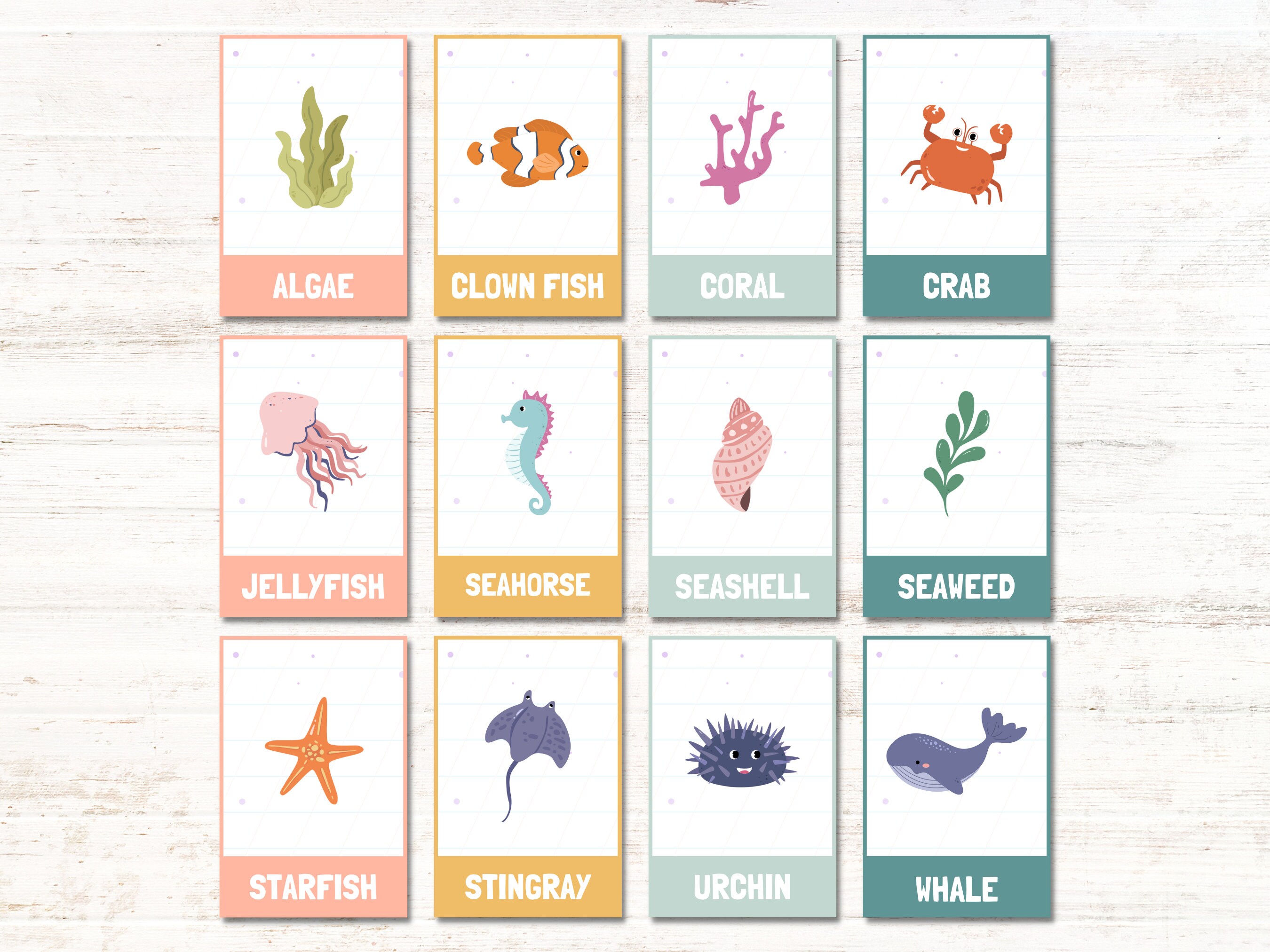 Buy 12 Underwater Printable Flashcards Under the Sea Cards Online in ...