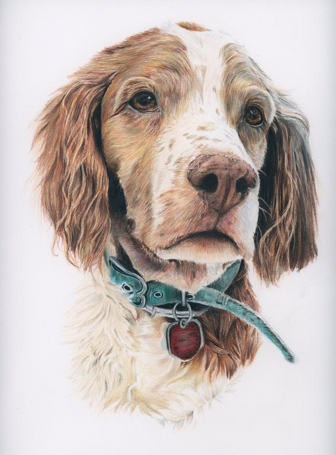 Animal Portrait Artist/ Pet Drawings/ Commission Art - Etsy