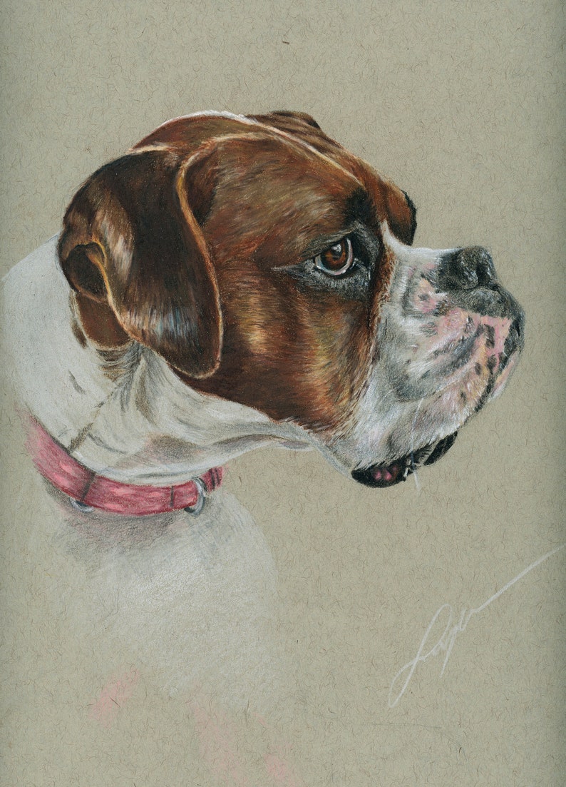 Animal Portrait Artist/ Pet Drawings/ Commission Art - Etsy