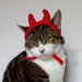 Devil Horns Cat Hat , Cute Dress up , Small Pet Halloween Costume - Etsy