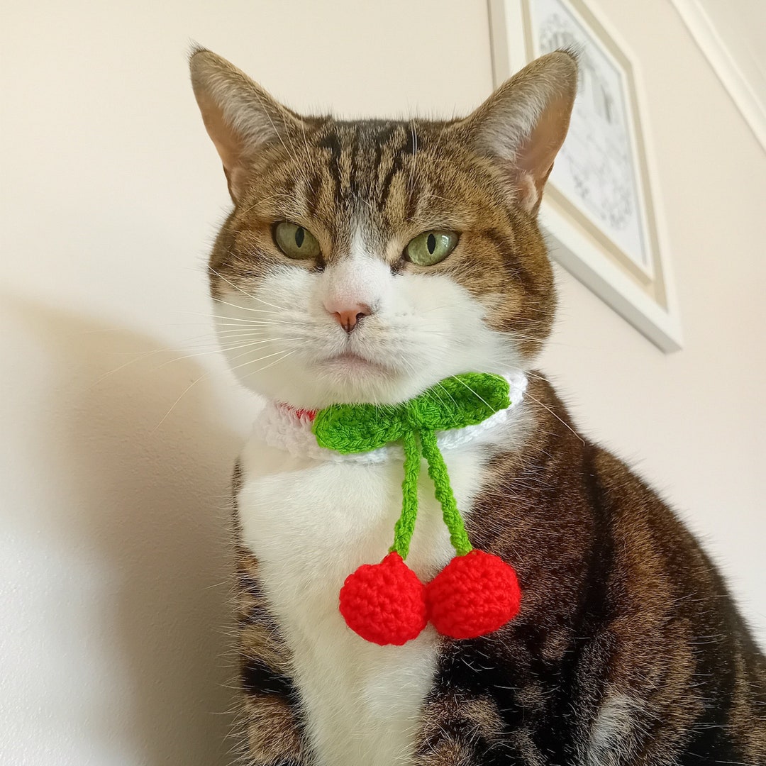Cherry Collar for Pets , Cat and Dog Accessories , Puppy and Kitten ...