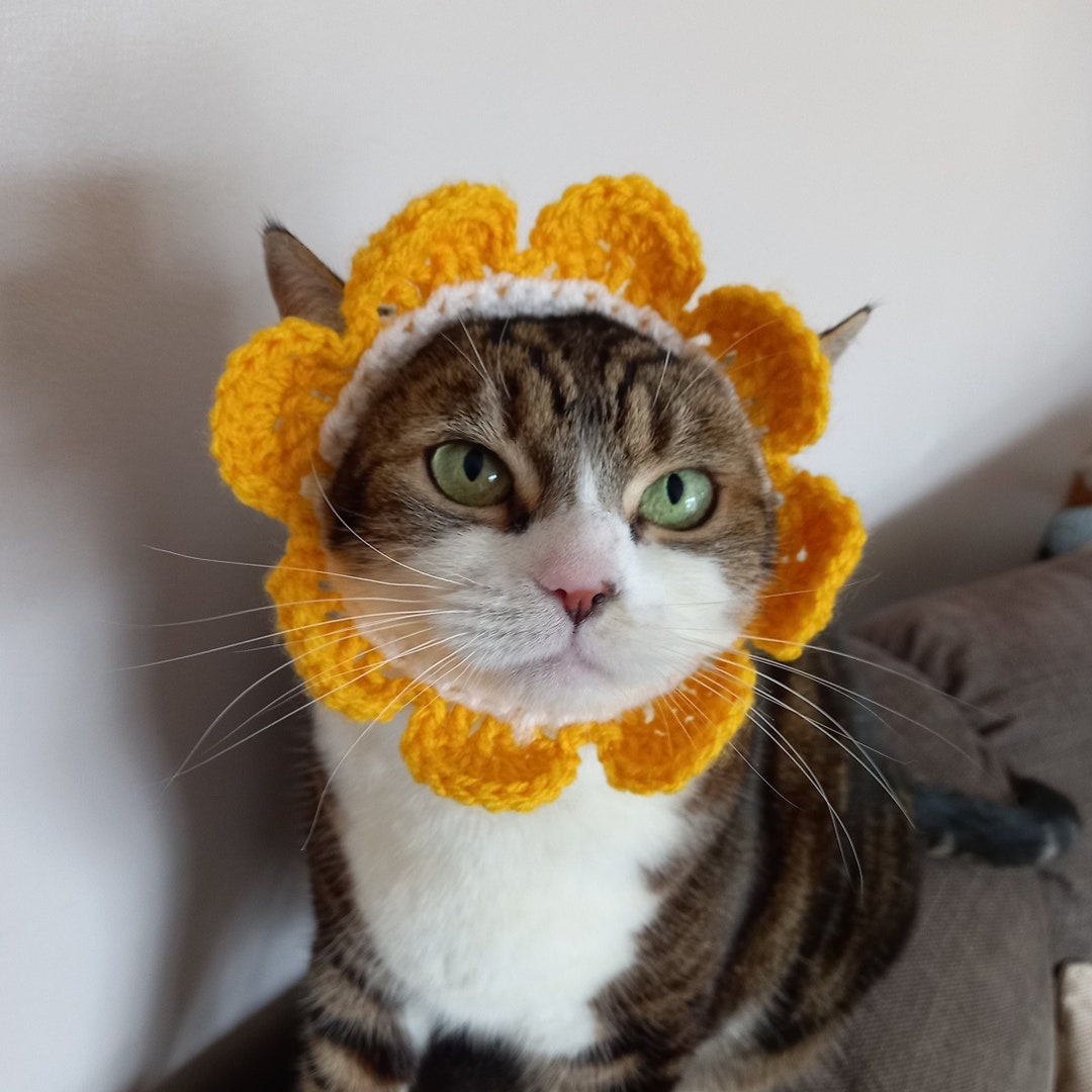 Flower Hat for Cats , Cute Crochet Pet Accessories , Petal Hat - Etsy