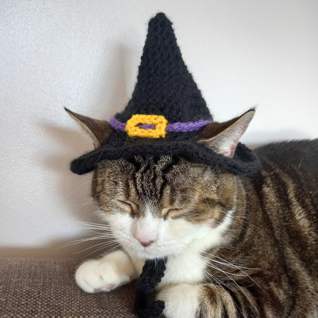 Witches Cat Hat, Cat Costume, Magic Crochet Pet Accessories - Etsy