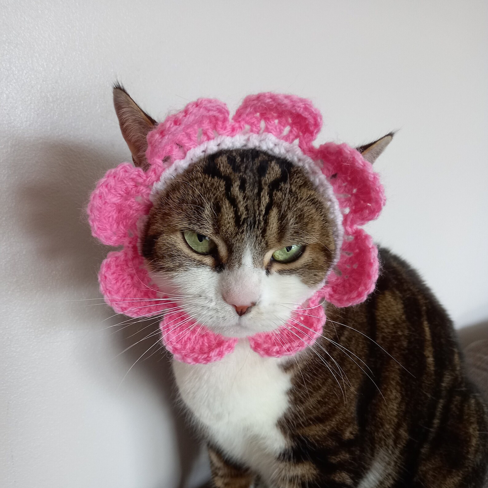 Flower Hat for Cats , Cute Crochet Pet Accessories , Petal Hat - Etsy