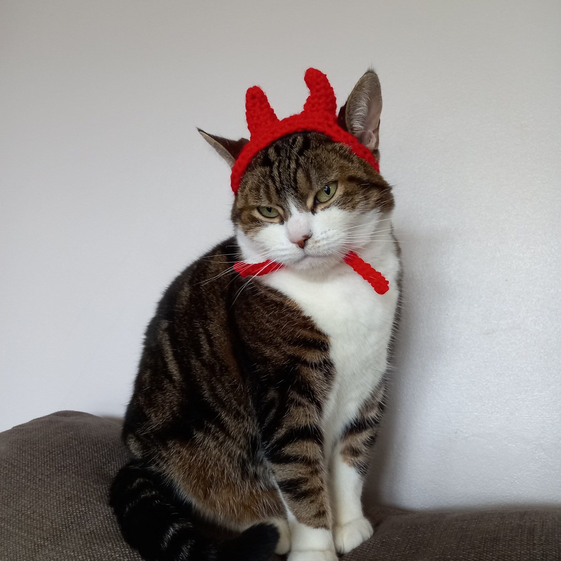 Cat With Devil Horns