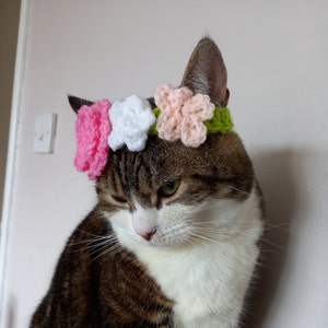 Flower Crown for Cats , Cute Crochet Pet Accessories , Spring Petal Hat ...