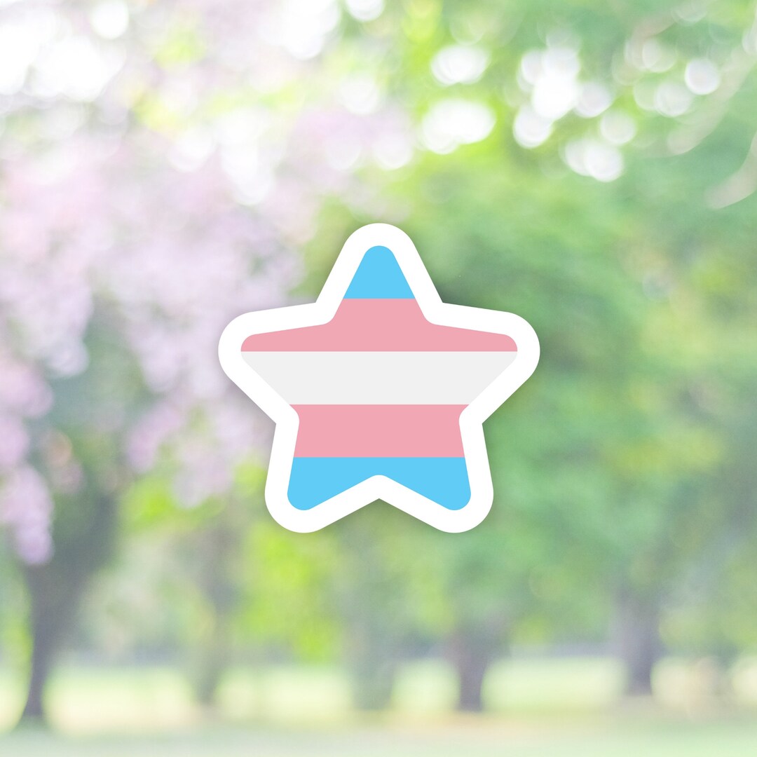 Trans Sticker Sticker for Car, Progress Pride Bumper Sticker, Gay Car ...