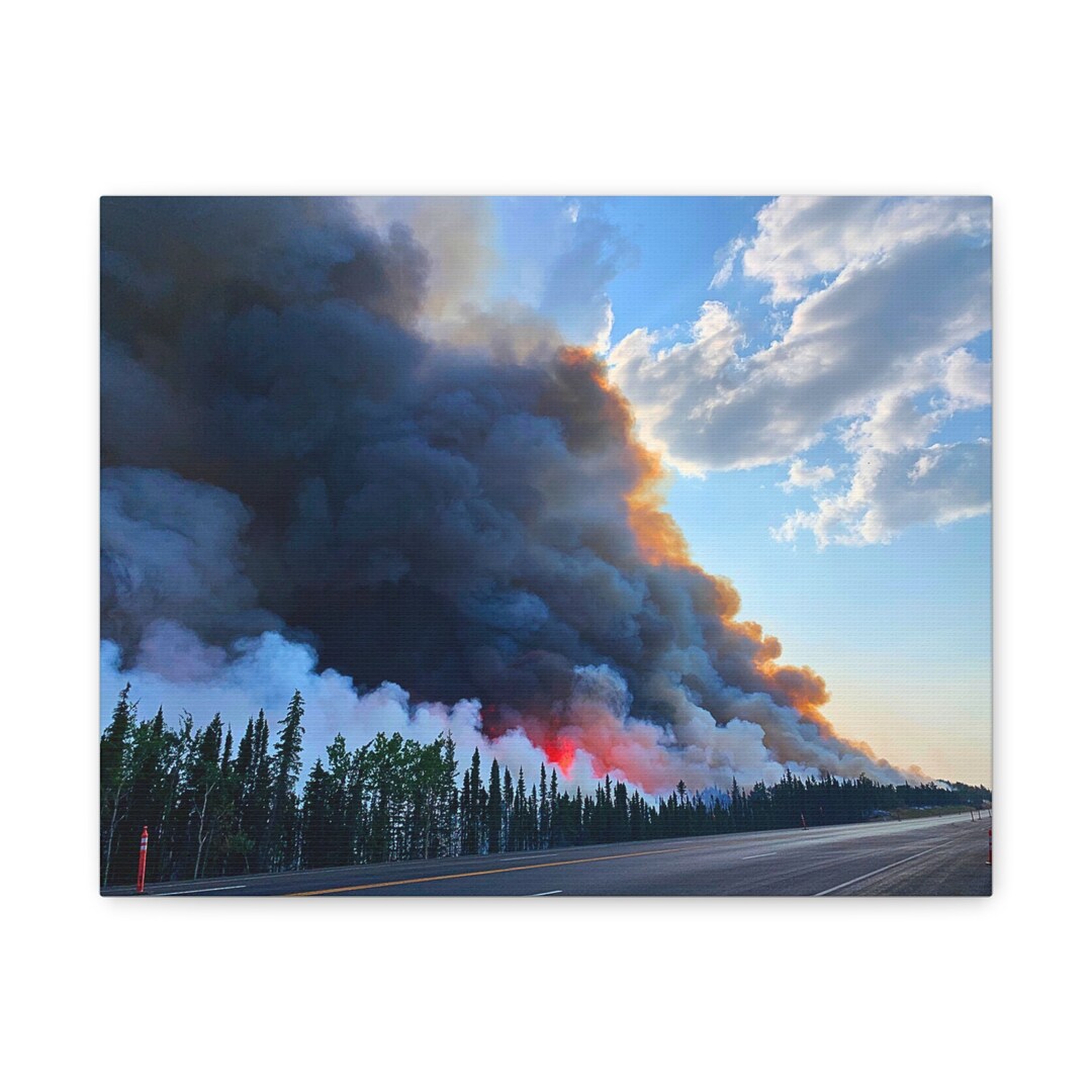 Authentic Wildfire Print White Matte Canvas 12x9, 14x11, 16x12, and ...