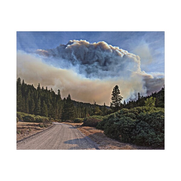 Wildfire Print - Etsy