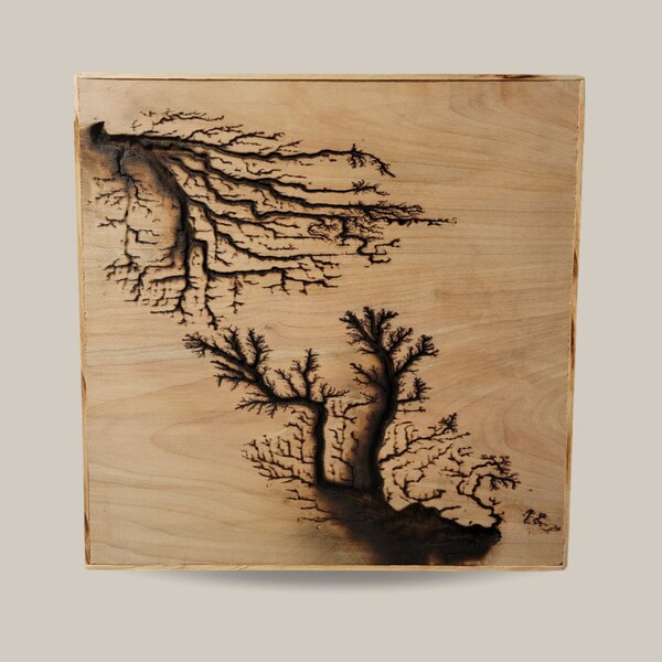 Fractal Wood Burning - Etsy