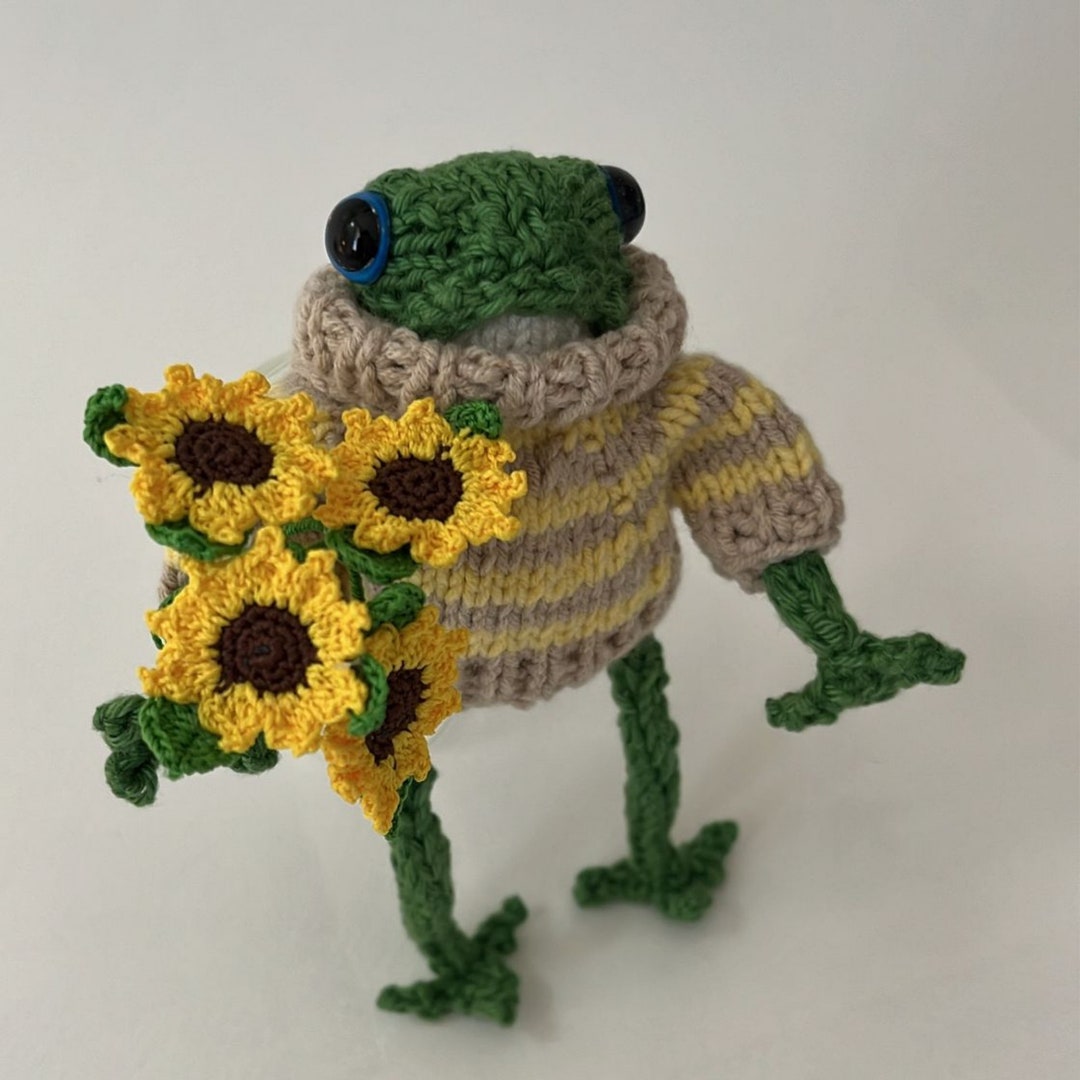 Handmade Knitted Frog, Handmade Knitted Frog With Colorful Clothes ...