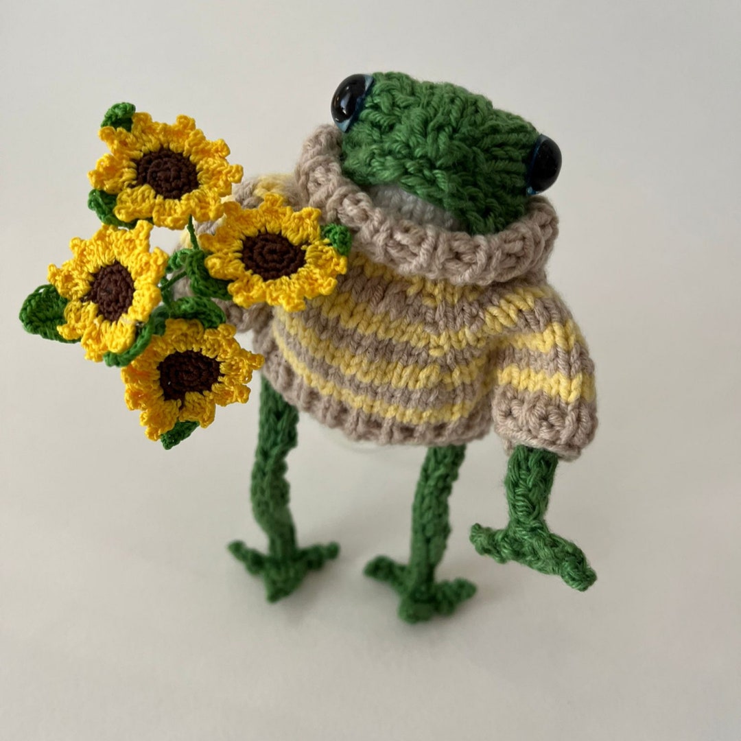 Handmade Knitted Frog, Handmade Knitted Frog With Colorful Clothes ...