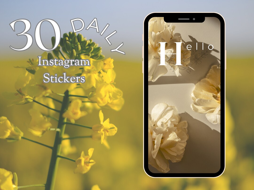 Everyday Instagram Story Sticker | Everyday Instagram Stickers ...