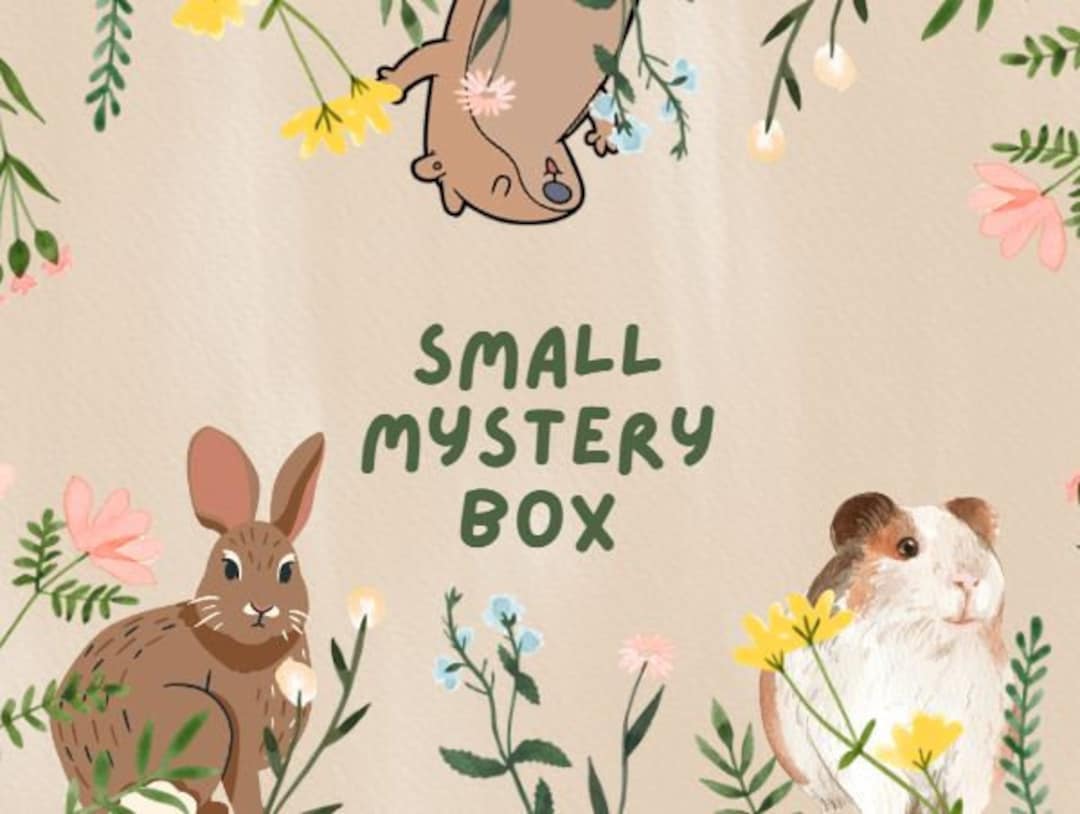Small Mystery Box Healthy Treats Fun-filled Mystery Box for Small Pets ...