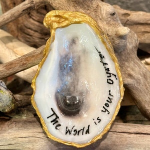 Real Oyster Shell, Beach Combed Along the Northern Outer Banks of NC ...