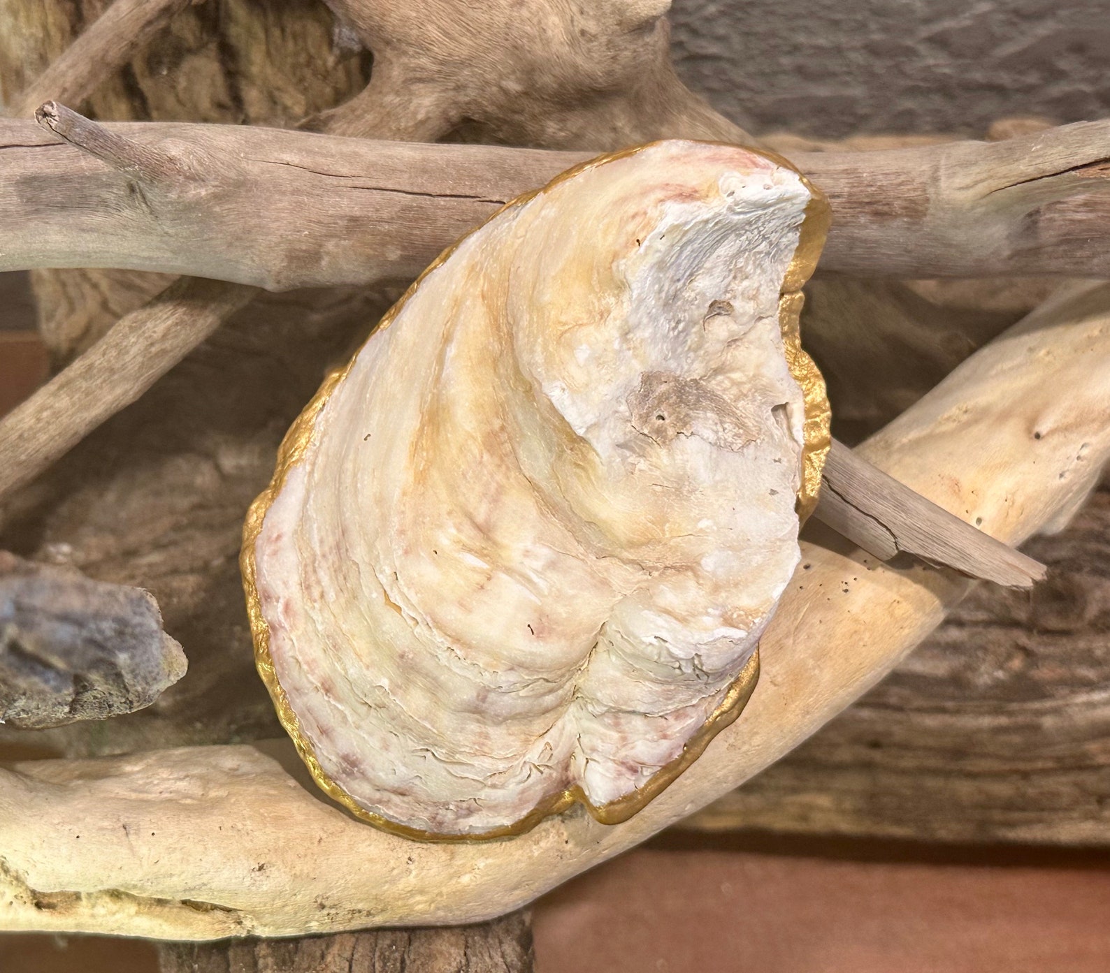 Decoupage Sea Turtle on a Hand Painted Real Oyster Shell, Beach Combed ...