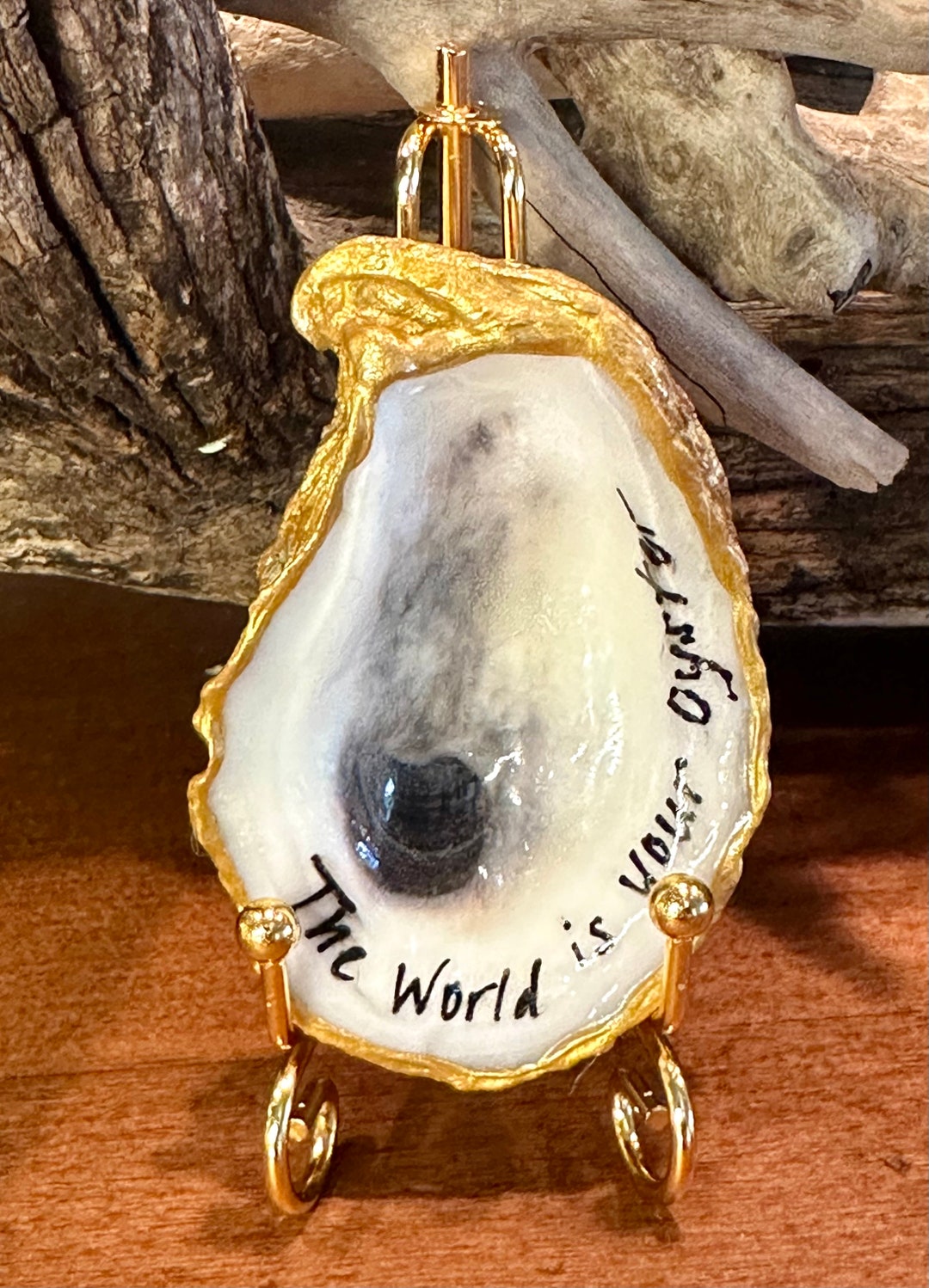 Real Oyster Shell, Beach Combed Along the Northern Outer Banks of NC ...