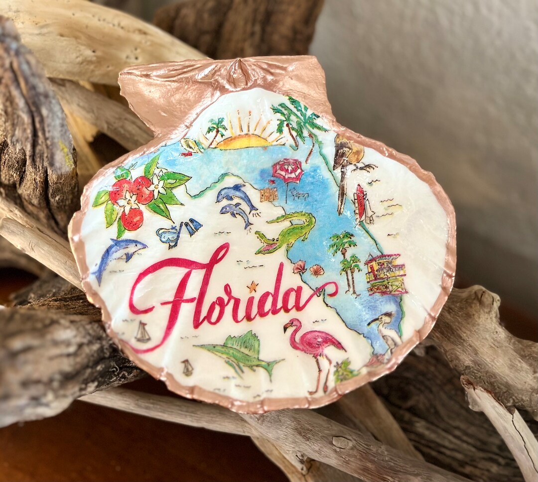 Decoupage Florida on a Real, Brown, Large (6 Inches) Lion’s Paw Scallop ...