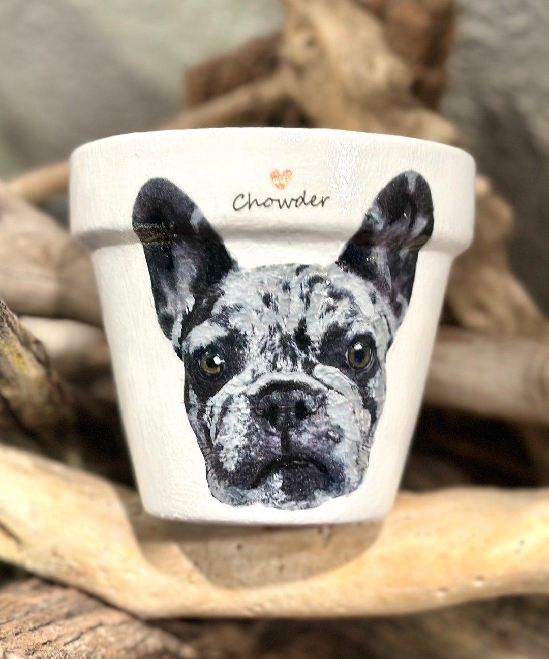 Personalized PETS ONLY Decoupage and Painted Clay Pots With Your Pet’s ...