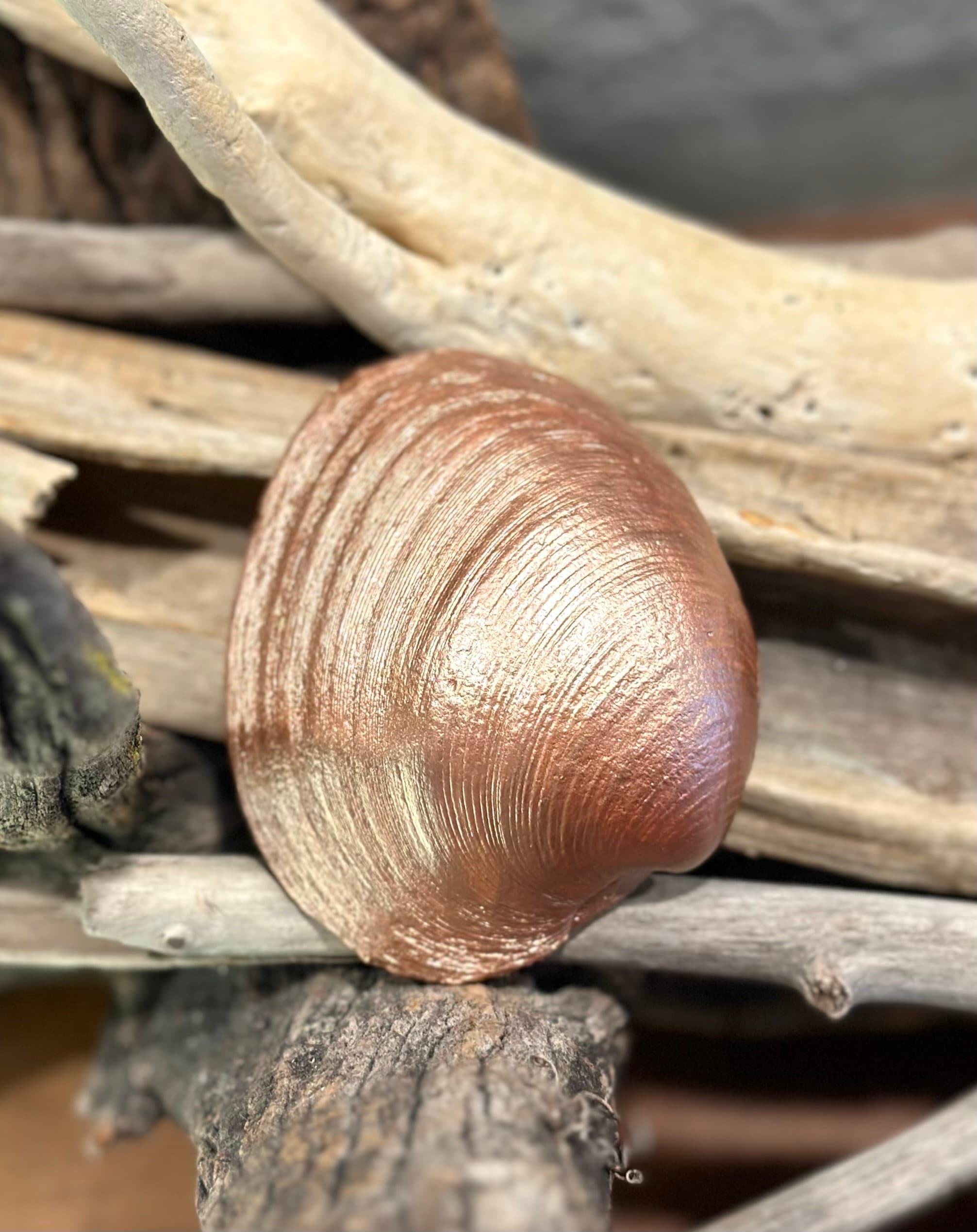 Decoupage Cloth Love Quote on a Hand Painted, Real, Quahog Clam Shell ...