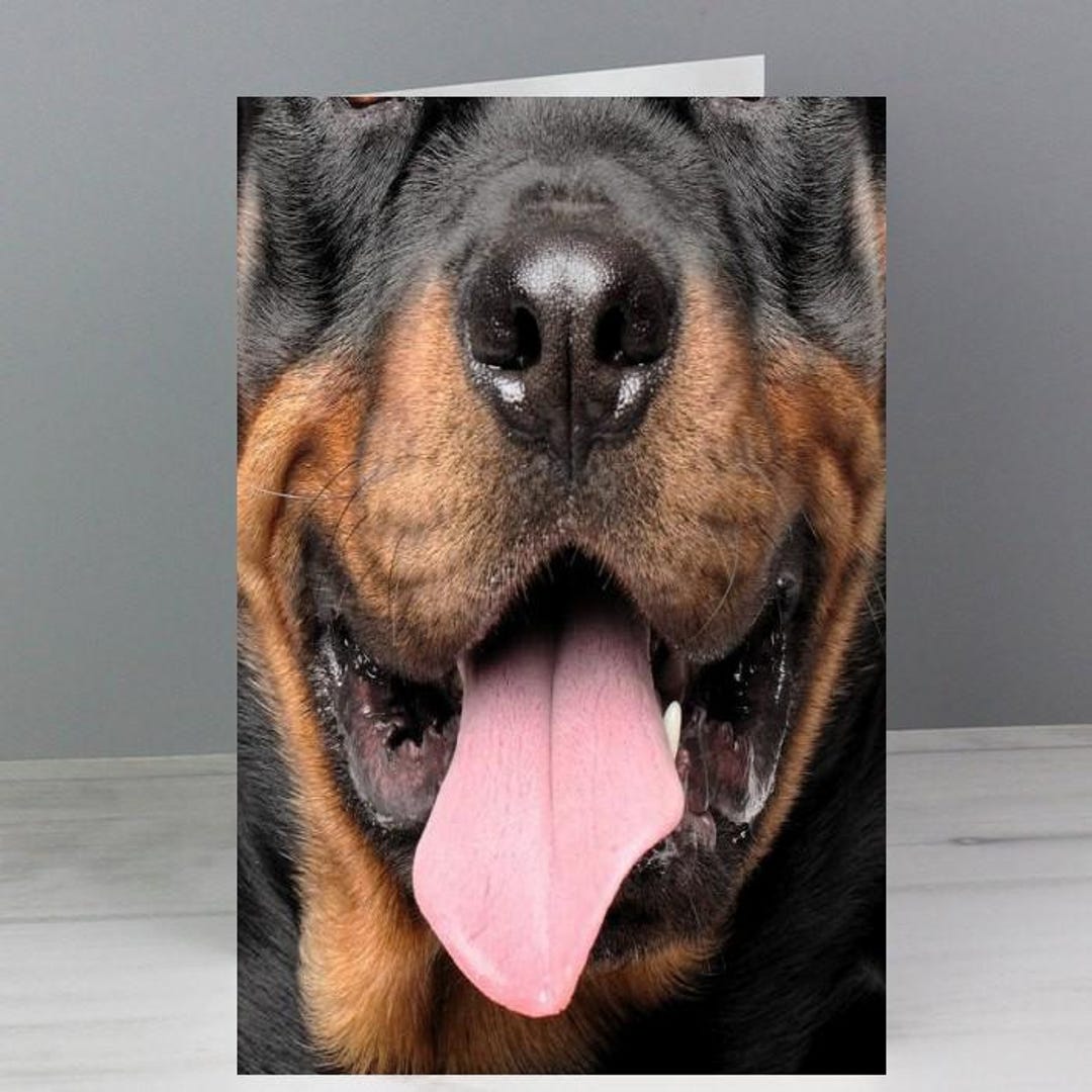 Rottweiler Dog Birthday Card, Dog Booper Birthday Card, Boop Dog Nose ...