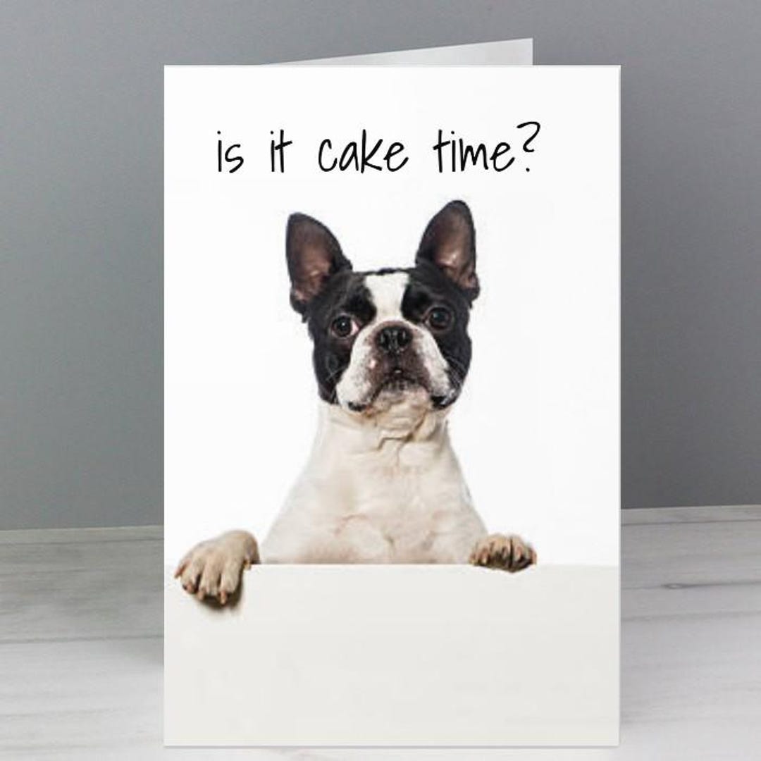 Funny Dog Booper Nose Birthday Card, French Bulldog, Dog Lover Greeting ...